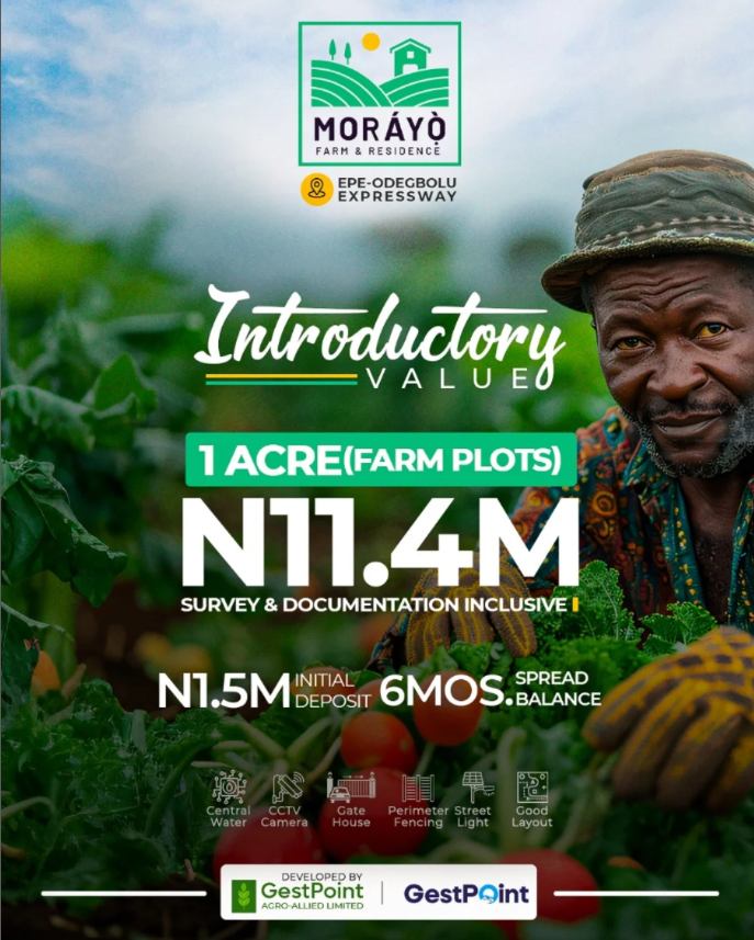 Invest in Your Future: Own a Piece of Morayo Farm - Your Fully Managed ...
