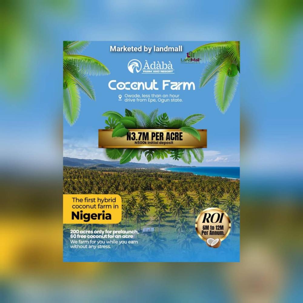 COCONUT LAND ADABA LAND AT OWODE OGUN STATE | For Sale | Land | Nigeria ...